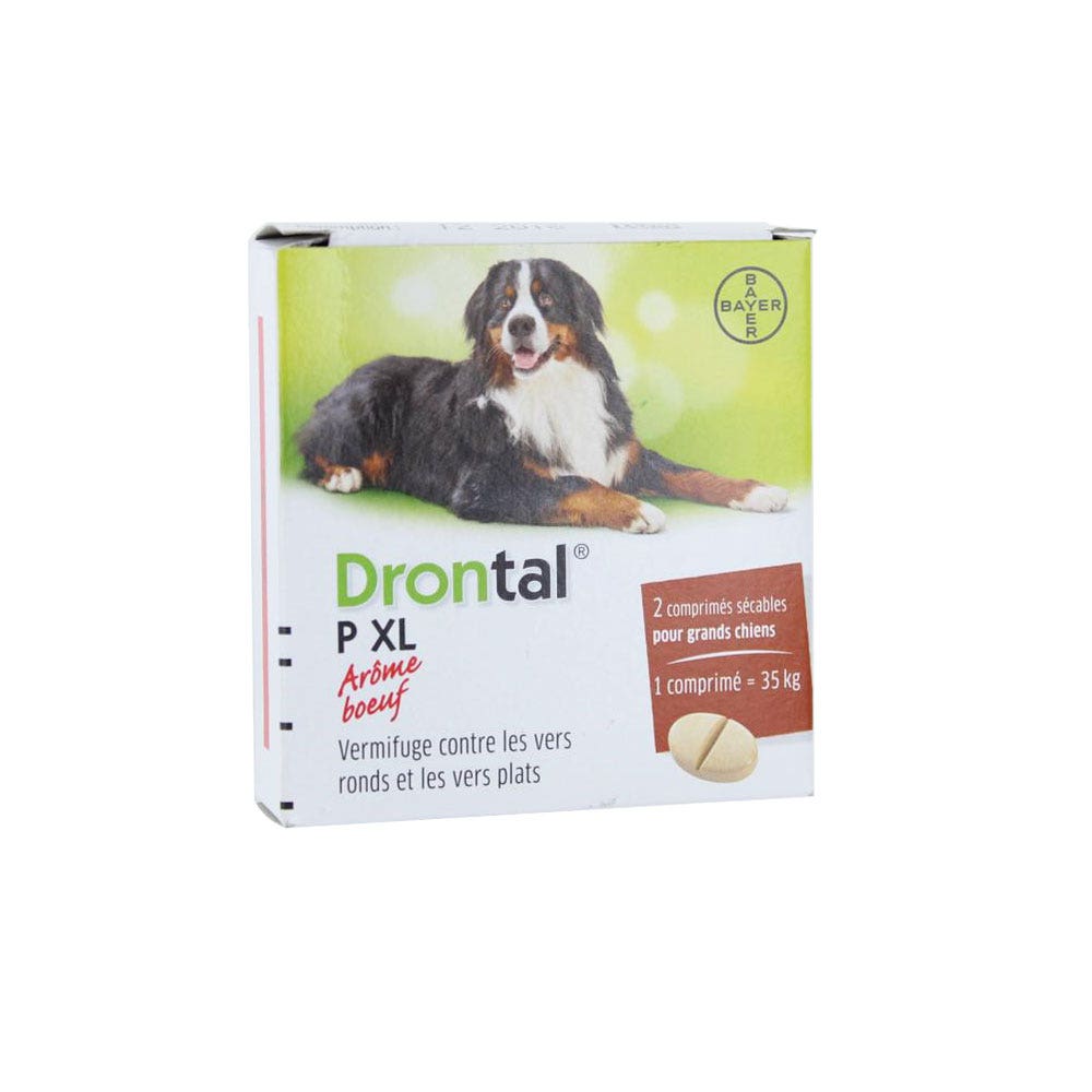 Drontal Plus Xl For Dogs Deworming 2 Tablets - Easypara